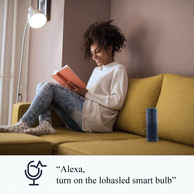 Troubleshooting Succulent Problems On Indoor growing